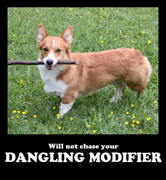 Grammar Giggles from The Editing Hall: Dangling Participles | The ...